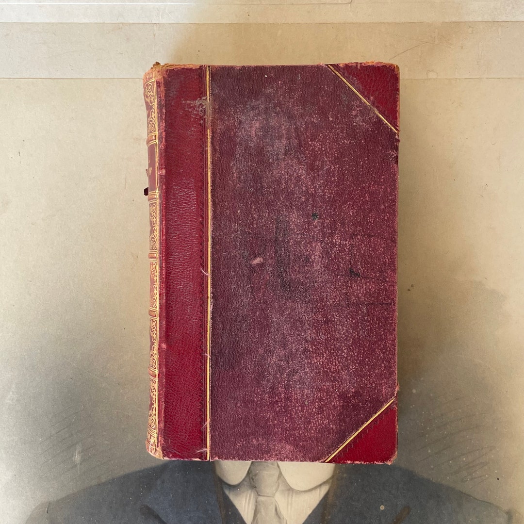 Antique Book - the Natural History of Birds - A Popular Introduction to ...