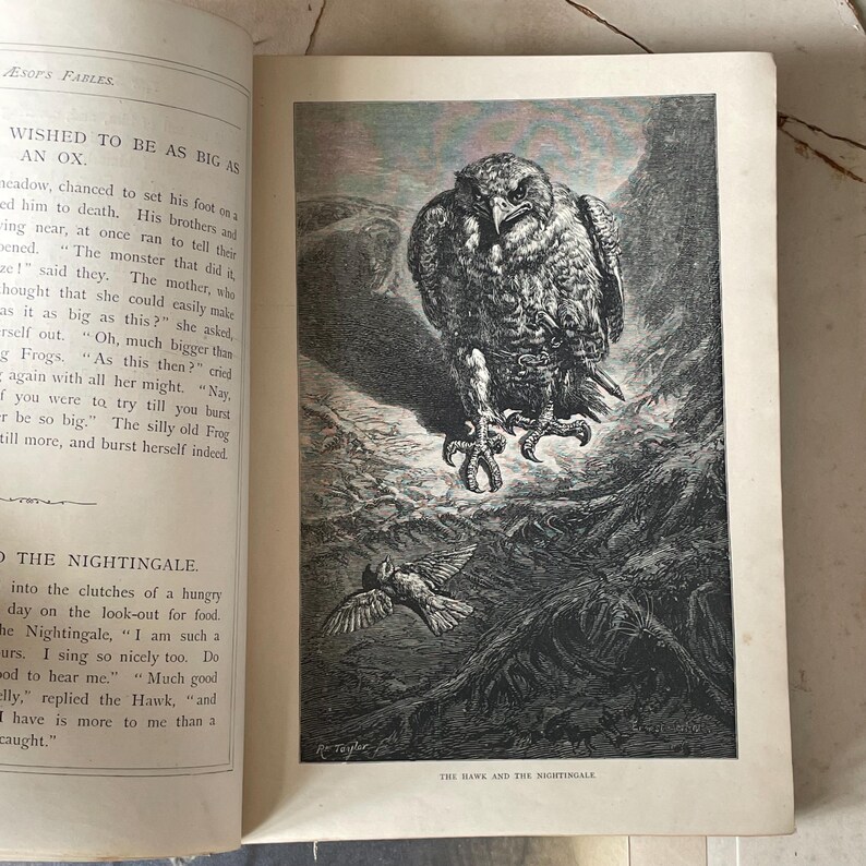 Antique Book - Aesop's Fables Illustrated by Ernest Griset Published by ...