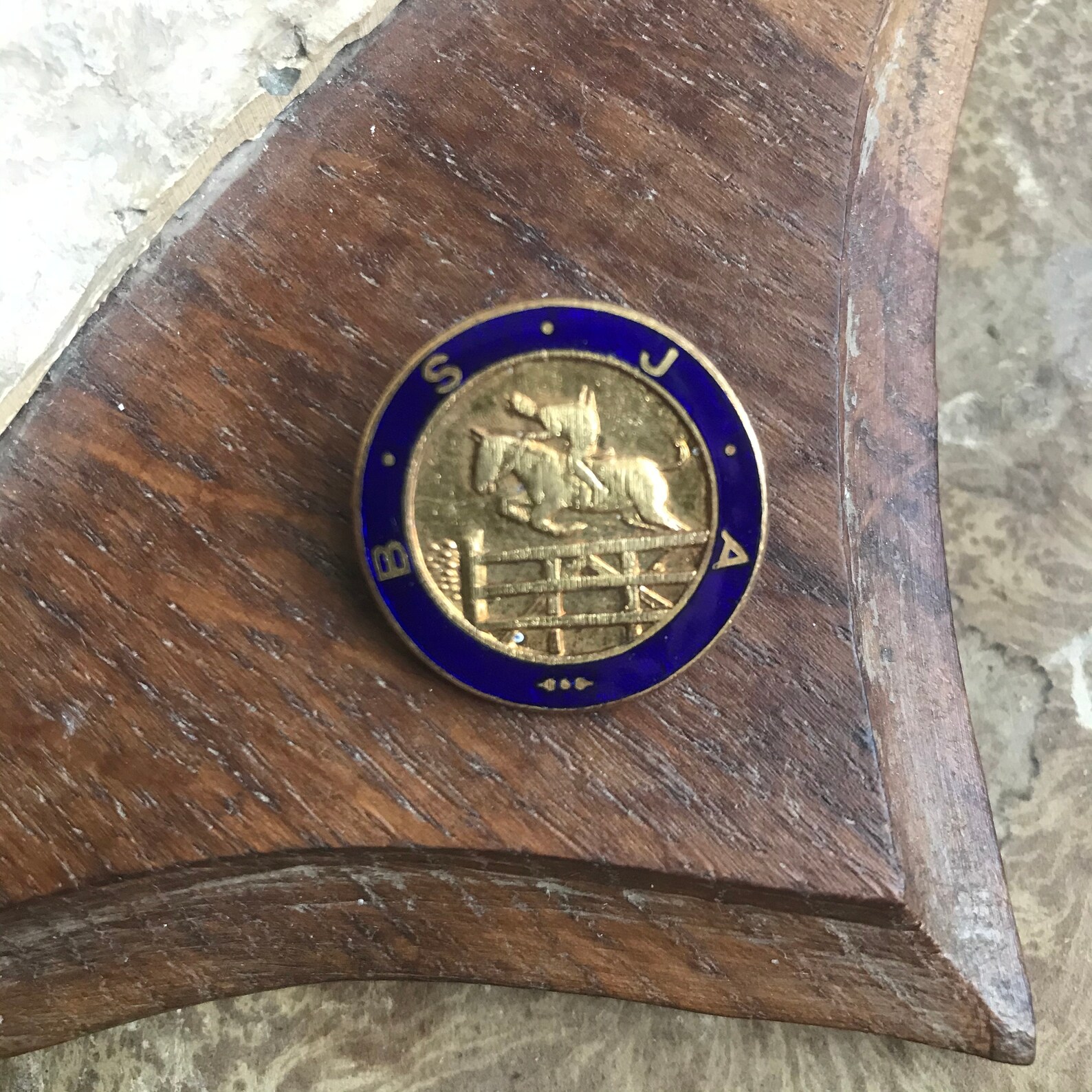 Vintage Gold Tone British Show Jumping Association BSJA Enamel Shield ...