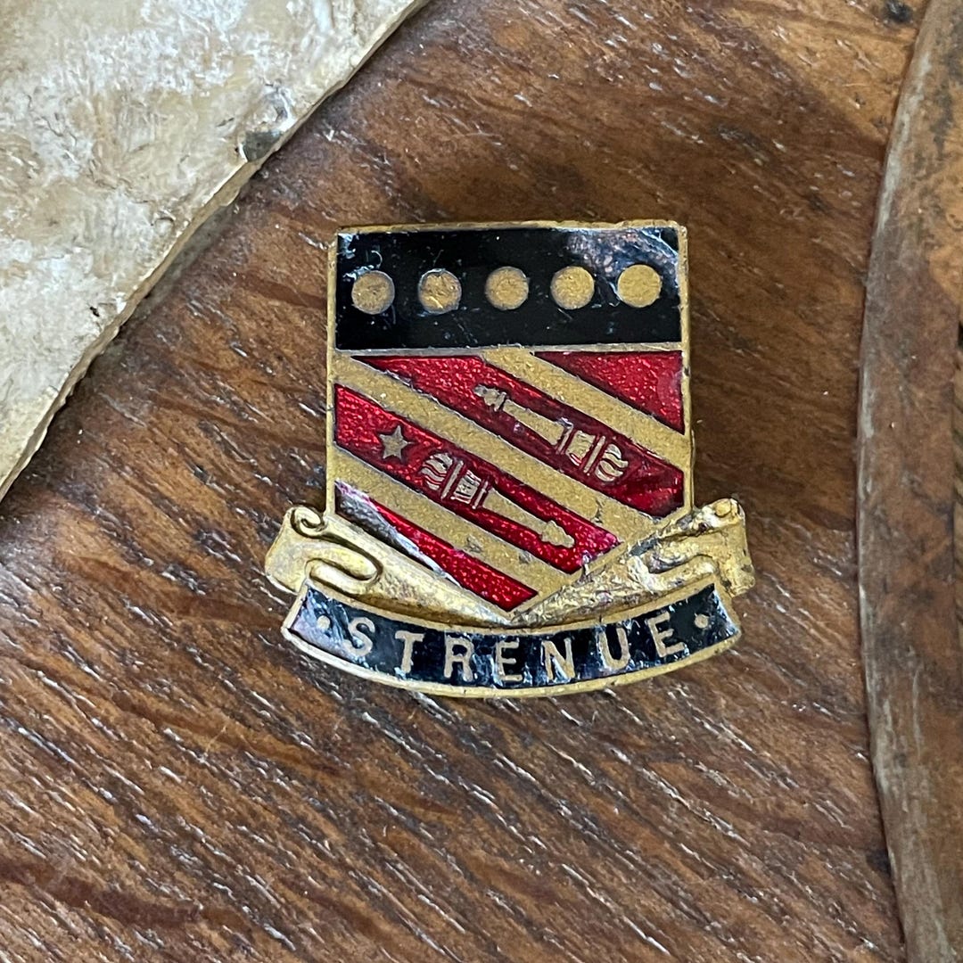 Vintage Gold Tone Truro Girls' Grammar School Enamel Shield Pin Brooch ...
