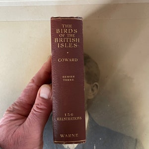 Antique Book - the Birds of the British Isles Migration and Habits by ...