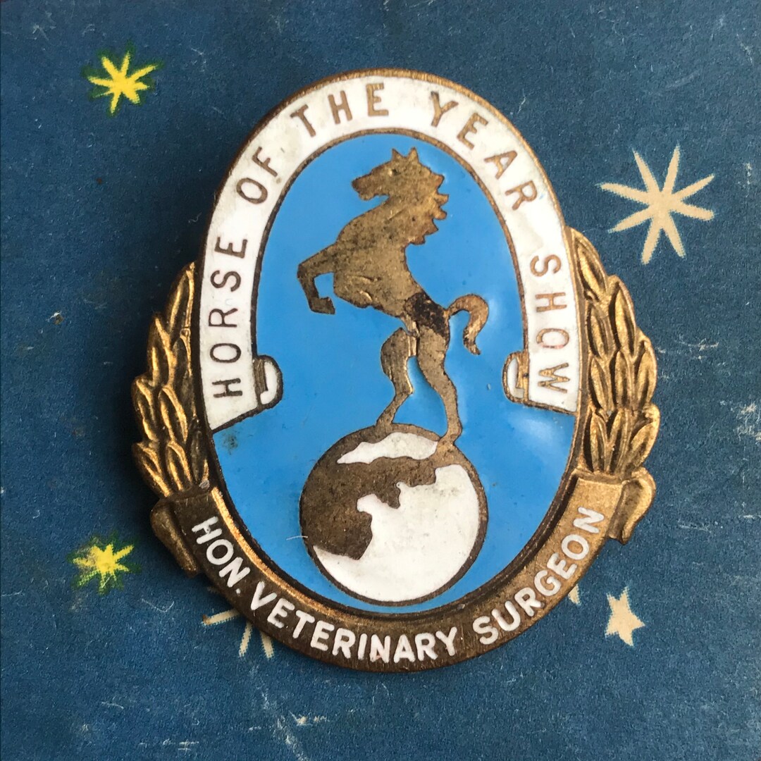 Vintage Gold Tone Horse of the Year Show Hon Veterinary Surgeon Enamel ...