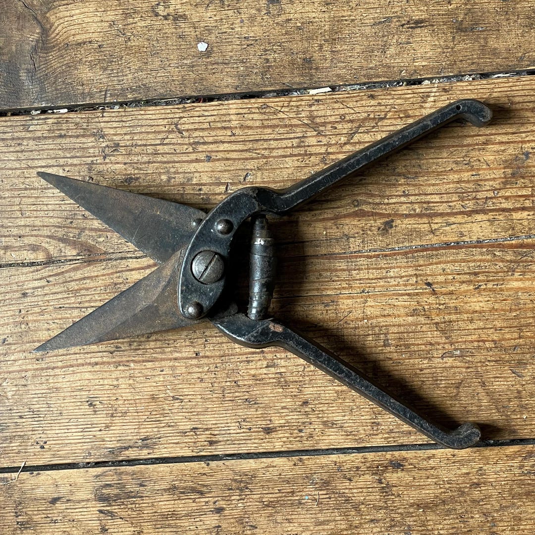 Vintage Steel Industrial Shears - Sheep Hoof Shears - Good Condition - Etsy