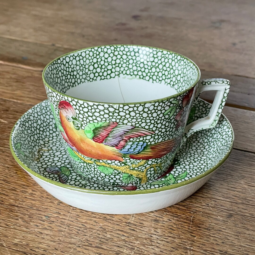 Fabulous Copeland Spode China Cup & Saucer - Parrot - Rare - Etsy
