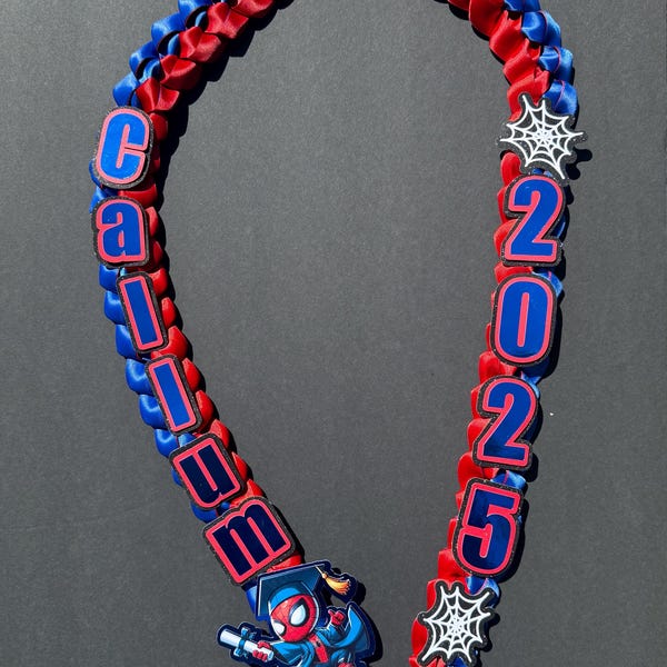 Spiderman Graduation - Etsy