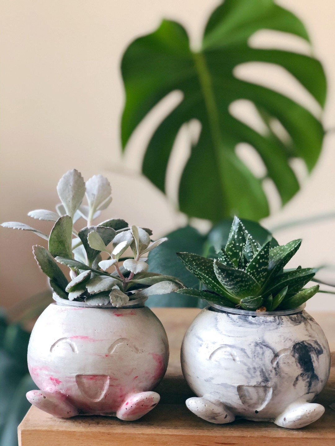 Radish Concrete Planter LARGE| Pokemon Air Plant Holder | Fan Art ...