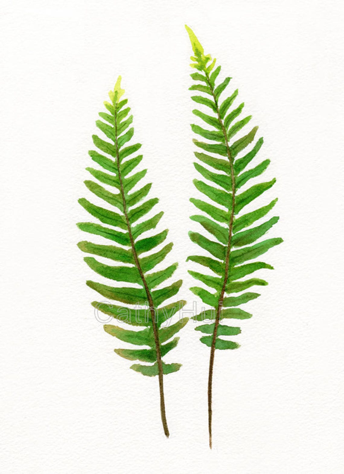 Set of 5 FERN Watercolor Painting Prints. Fern Giclee Prints | Etsy