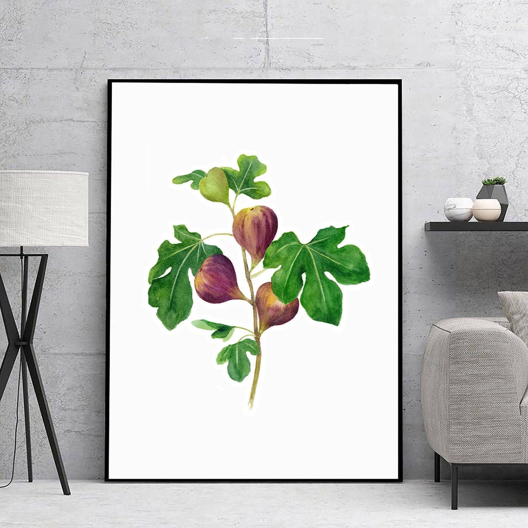 Print of Fig Watercolor Painting, Fig Tree Print, Fruit Art Print ...