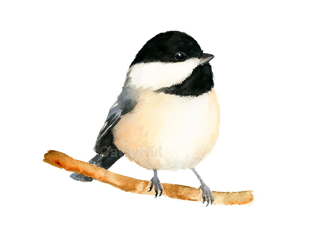 Tubby Chickadee Watercolor Painting Art Print, Black-capped Chickadee ...
