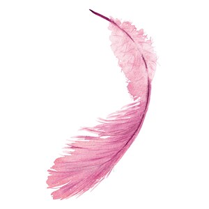 Set of 3 Feather Watercolor Painting Art Prints, Minimal Red Home Decor ...