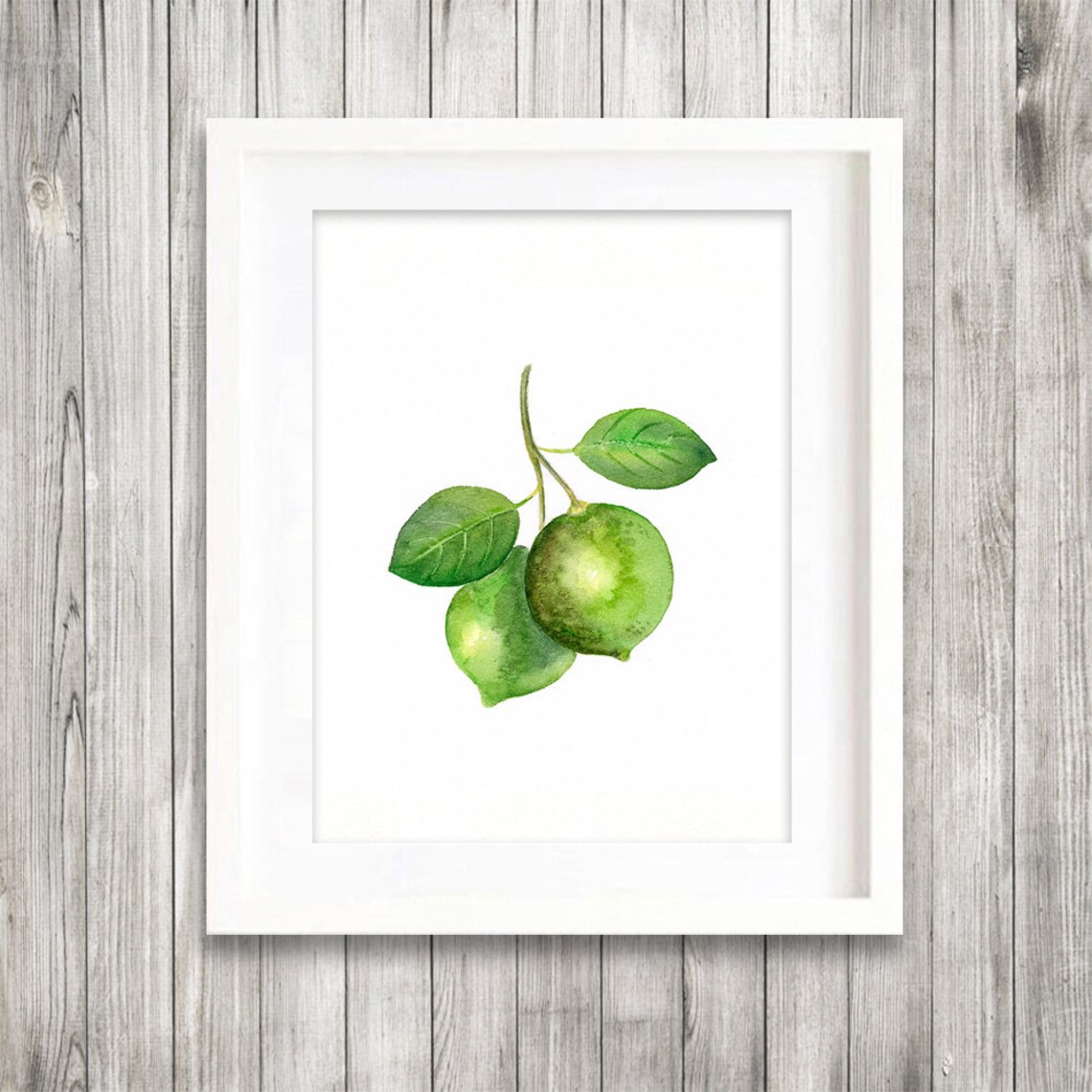 Lime Watercolour Painting Lime Tree Fruit Print Lime | Etsy Hong Kong