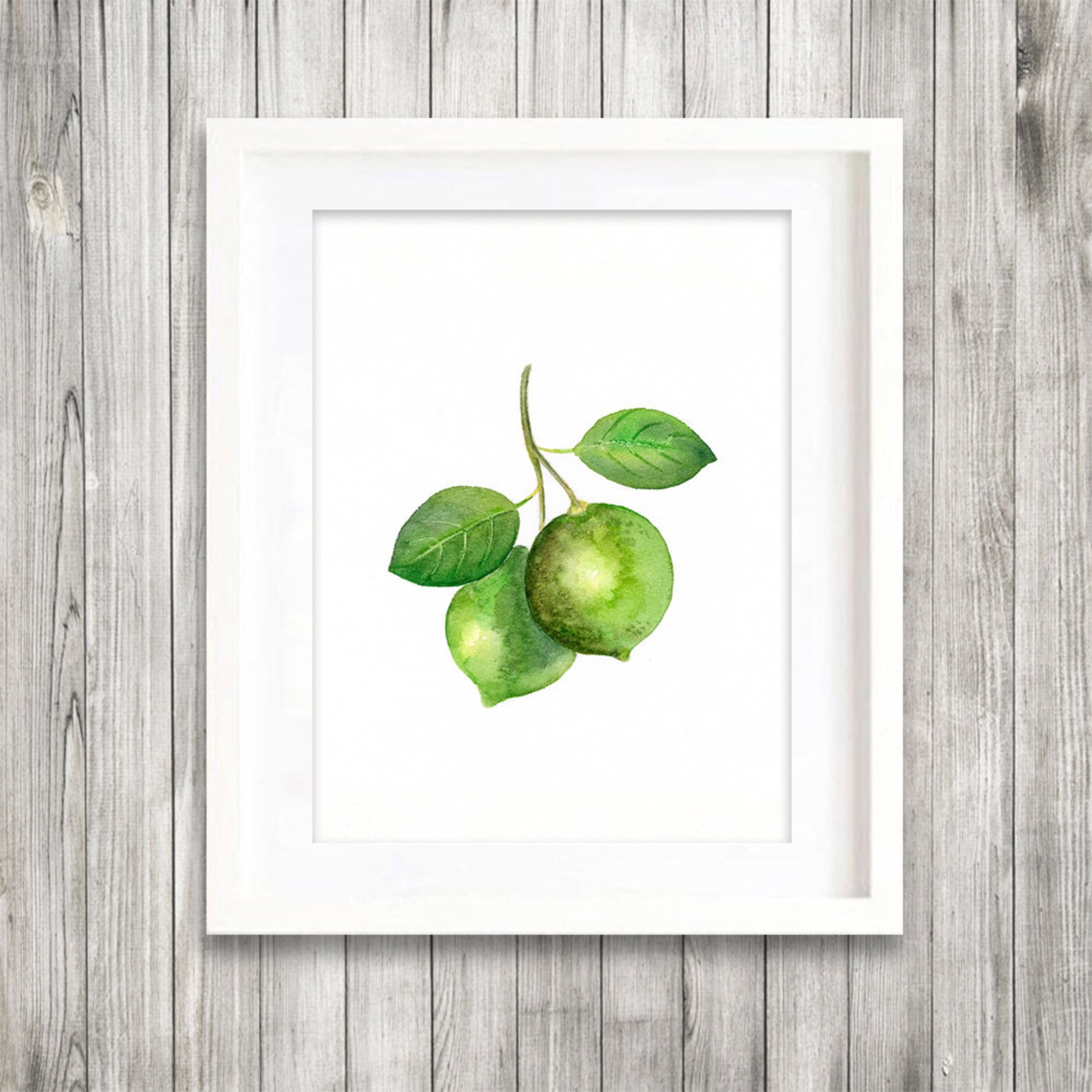 Lime Watercolour Painting Lime Tree Fruit Print Lime | Etsy Hong Kong