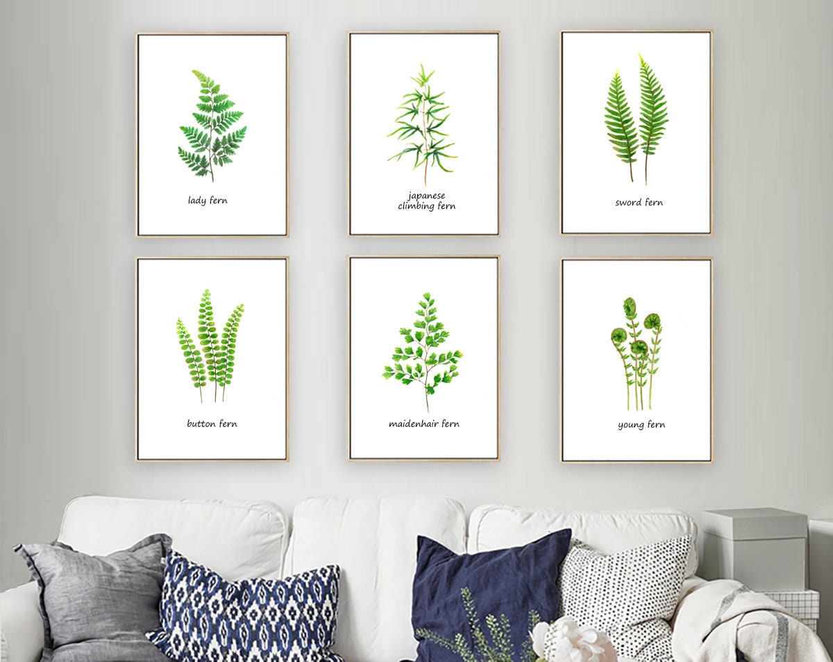 Set of 5 FERN Watercolor Painting Prints. Fern Giclee Prints | Etsy