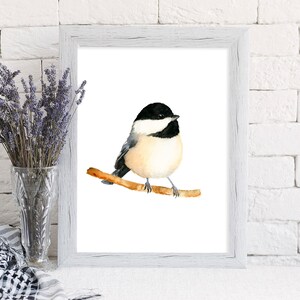 Tubby Chickadee Watercolor Painting Art Print, Black-capped Chickadee ...