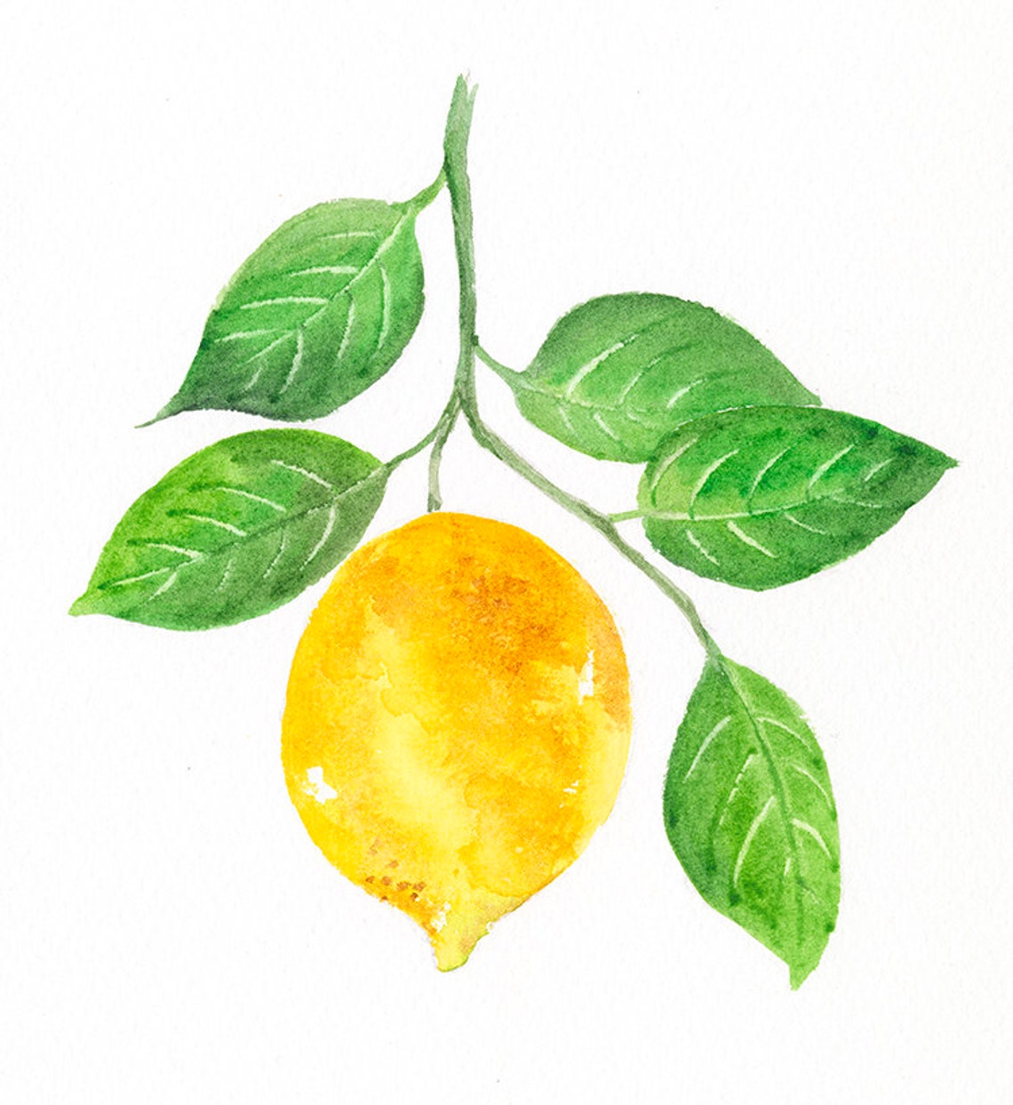 Set of 5 Lemon Watercolor Painting Prints Botanical Prints | Etsy