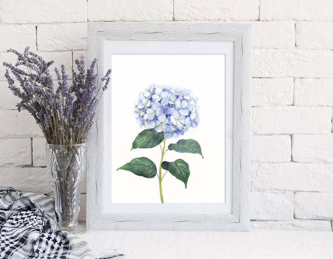 Print of Blue Hydrangea Watercolour Painting Flower Art | Etsy
