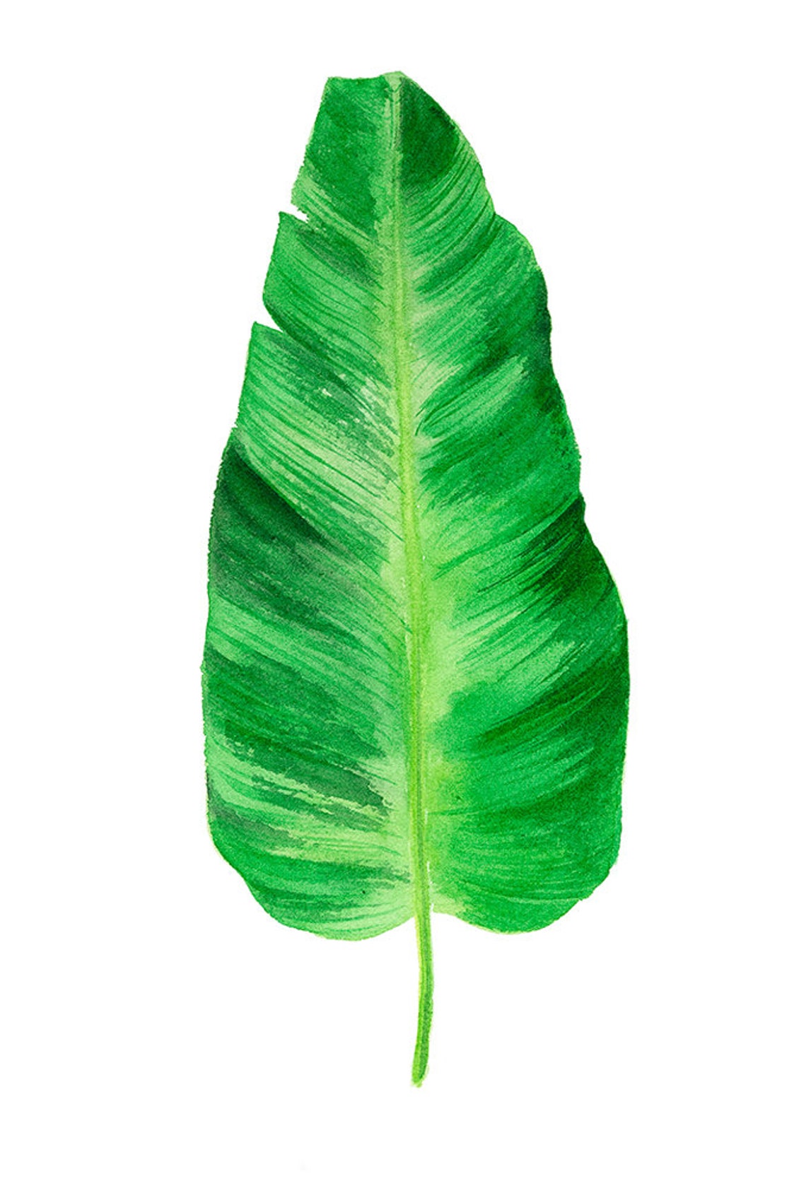 Set of 3 Tropical Green Leaf Watercolor Painting Art Prints - Etsy