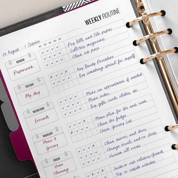 Flylady Control Journal - Etsy