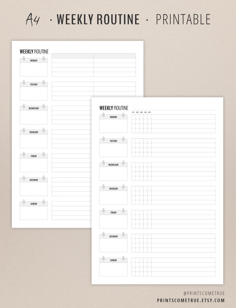 Flylady Control Journal Daily Routines and Zone Cleaning Checklist ...