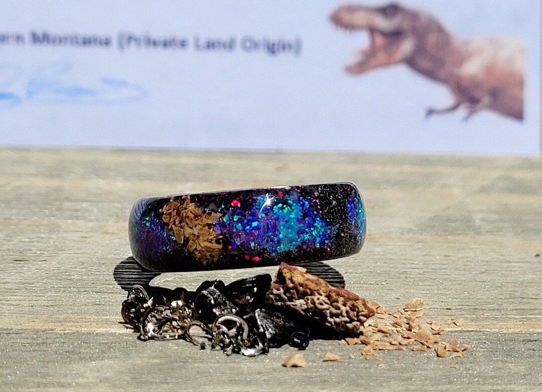The "t-rex Galaxy Ring" * Tyrannosaurus Bone and Meteorite Glow in the ...