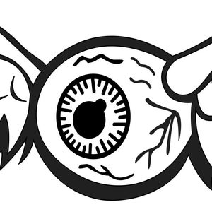 Flying Eye Vinyl Decal - Etsy