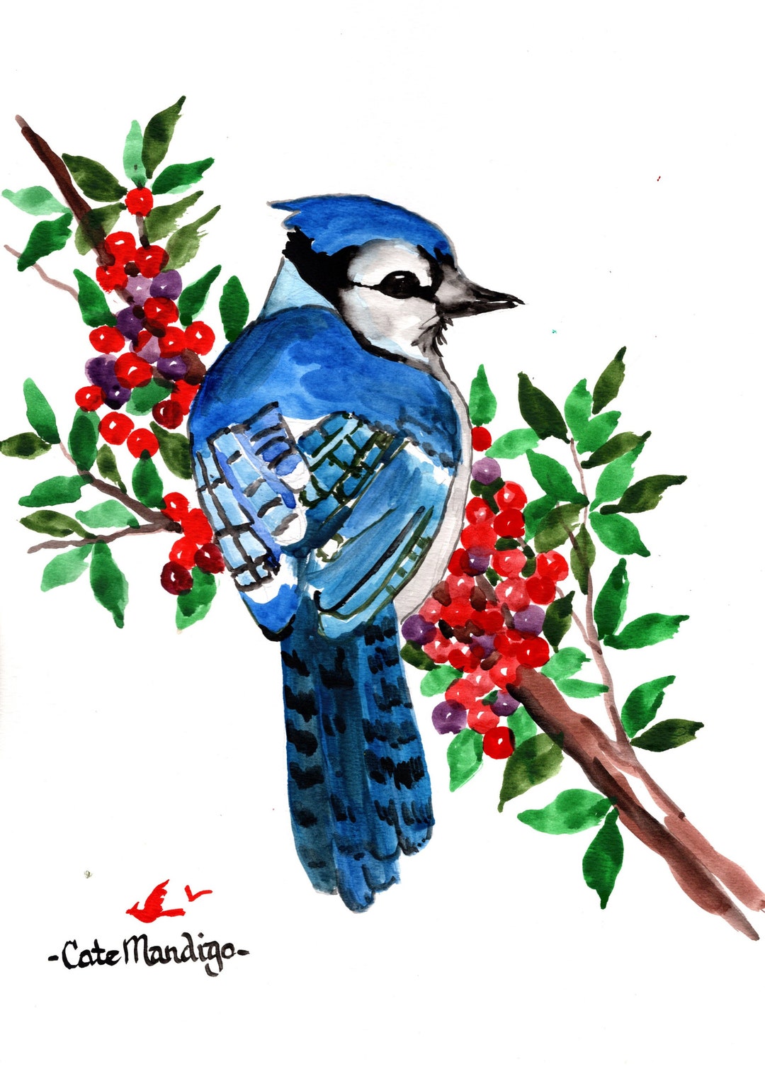 Blue Jay, 9x12 Inch Cate Mandigo Original Art, Northern Jay, Blue Bird ...