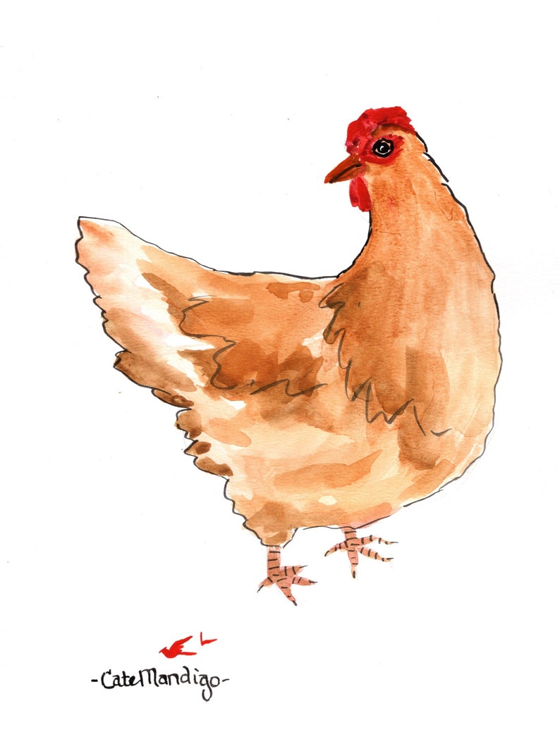 My Chicken Petunia a Buff Orppington Hen Cate Mandigo Bird - Etsy