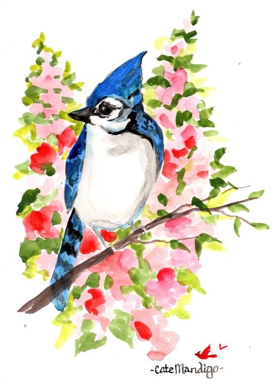 Pink Jay Bird