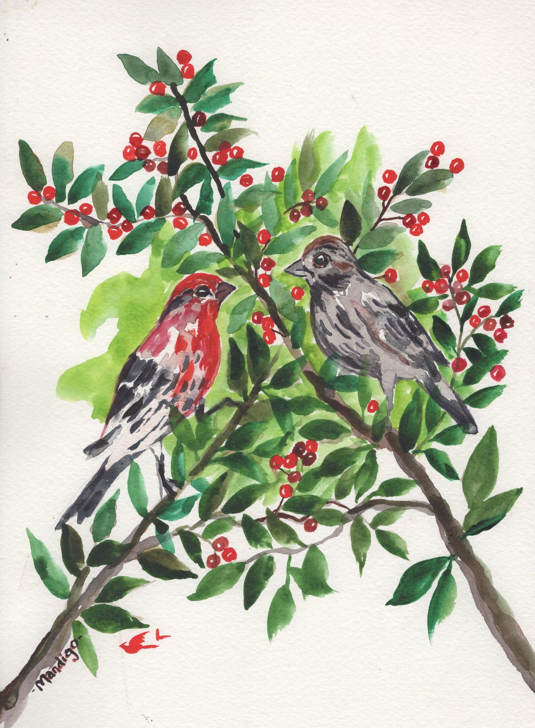 House Finches Painting 9x12 Inch Original Watercolor Cate Mandigo Bird ...