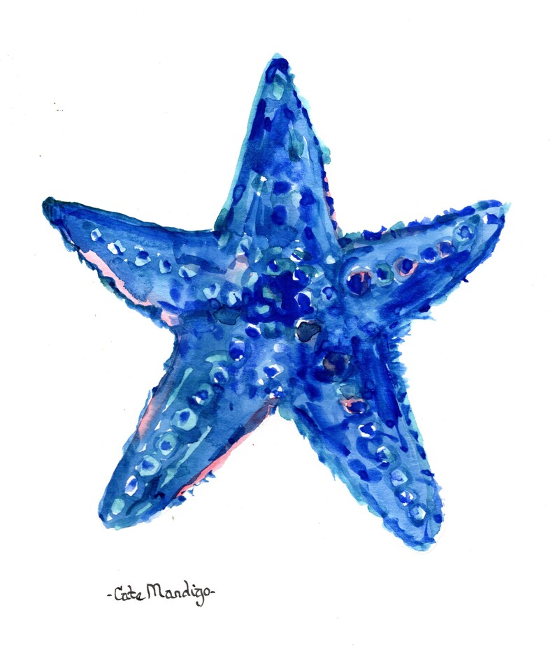 Maritime Blue Star Fish 9x12 Inch Ocean Nautical Art Sea - Etsy