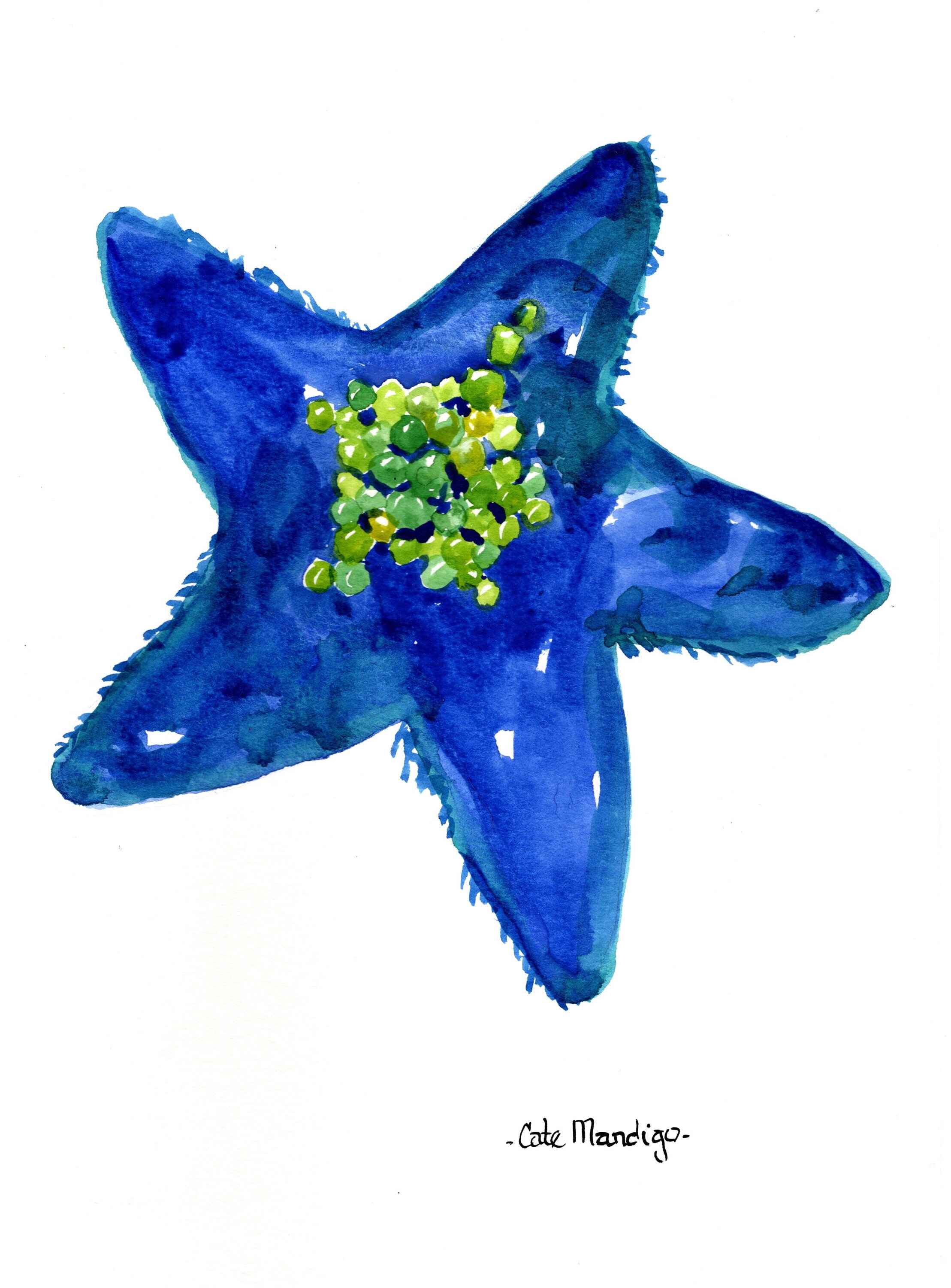 Blue Starfish Drawing