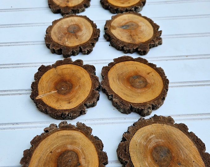 Set of 11 Black Walnut Wood Slices With Live Edge / Crafting / Rustic ...