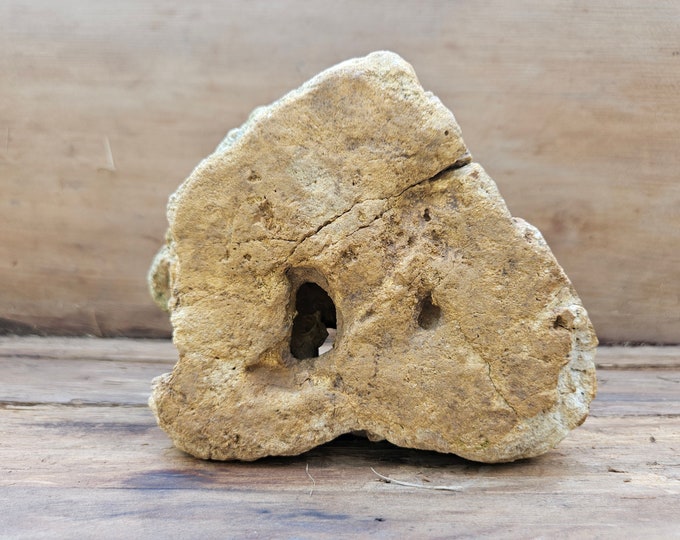 Natural Missouri River Rock With Hole / Aquarium or Vivarium Rock ...
