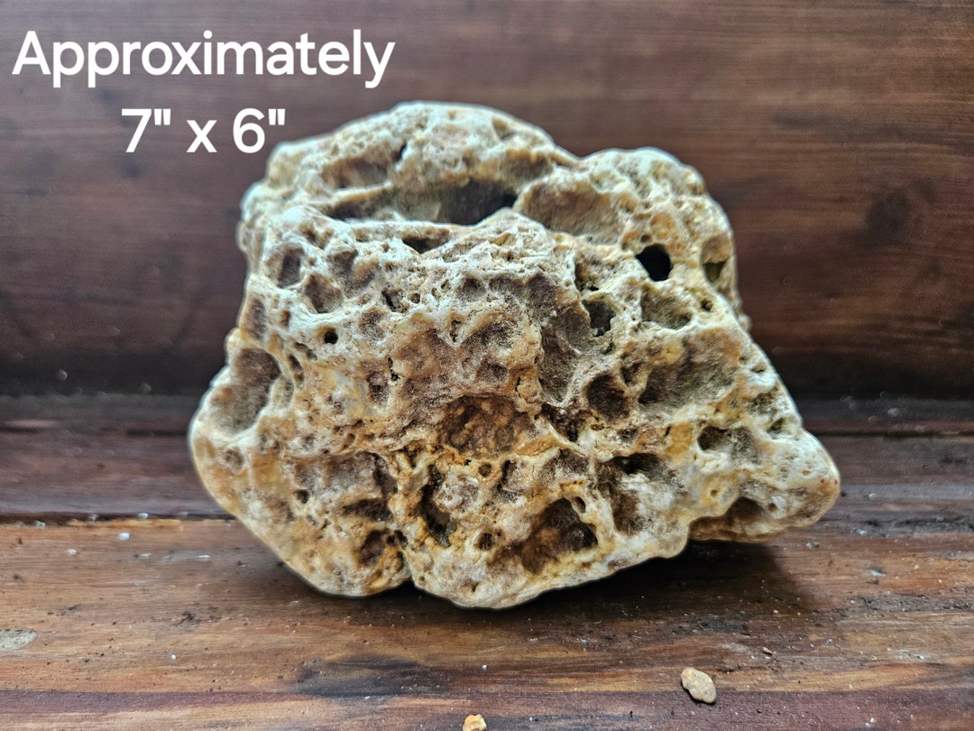 Natural Missouri River Rock / Aquarium or Vivarium Rock - Etsy