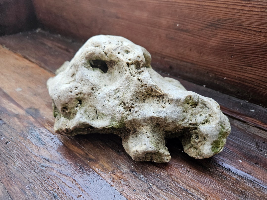 Natural Missouri River Rock / Aquarium or Vivarium Rock - Etsy