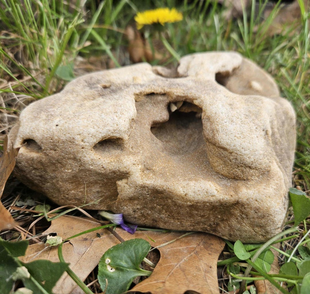 Natural Missouri River Rock With Unique Features / Aquarium or Vivarium ...