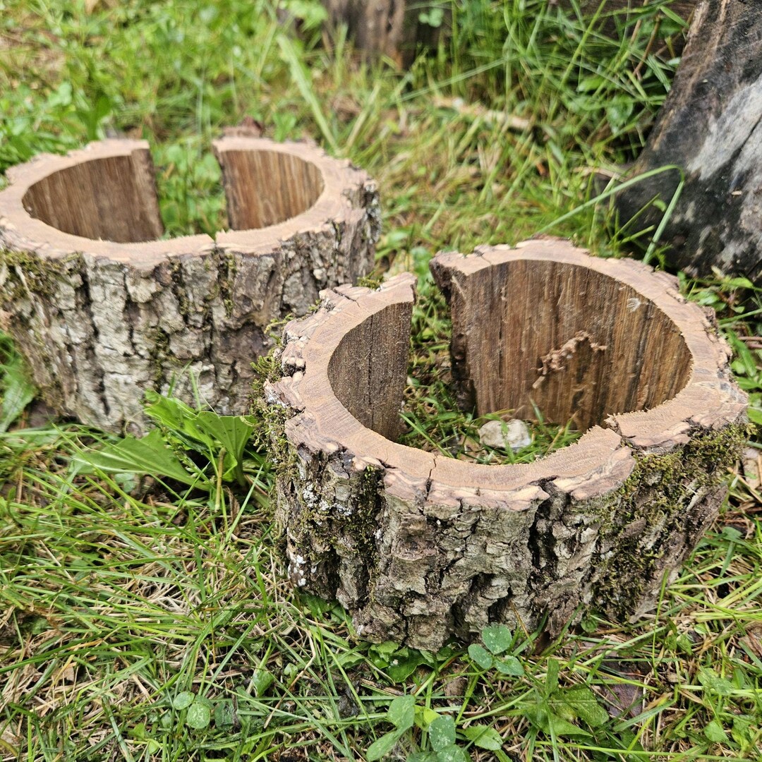 Hickory Wood Tree Bark Round / Planter / Garden Decor - Etsy