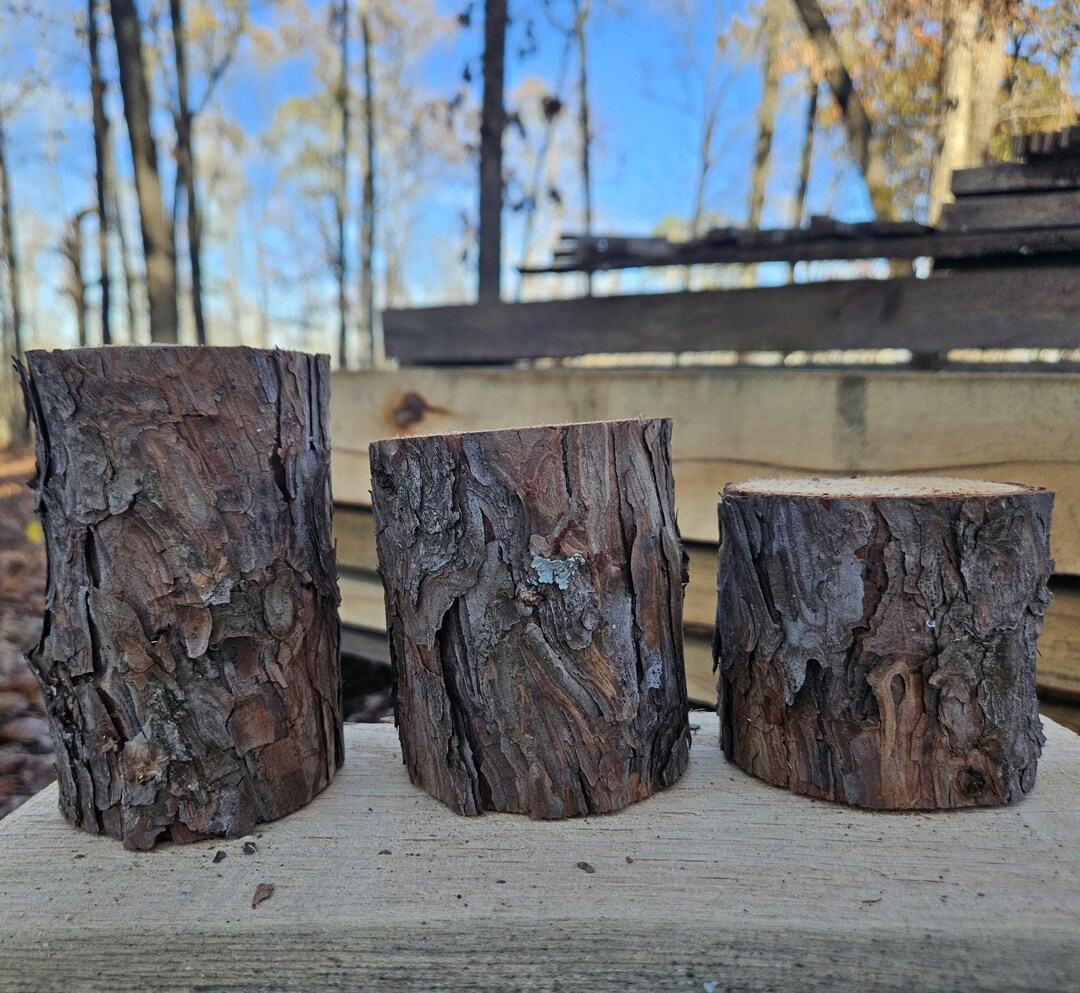 Pine Log Stumps / Set of Three / 5" 4" 3" / Approximately 3-4" Diameter ...