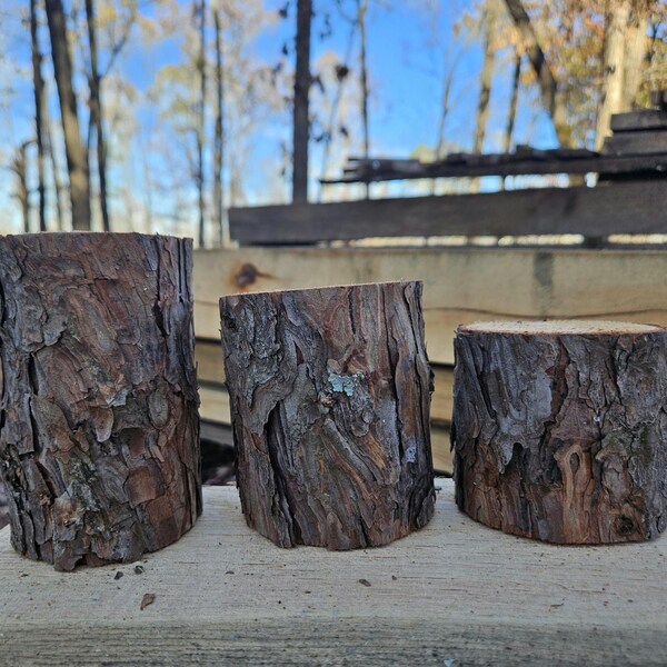 Wood Stump - Etsy