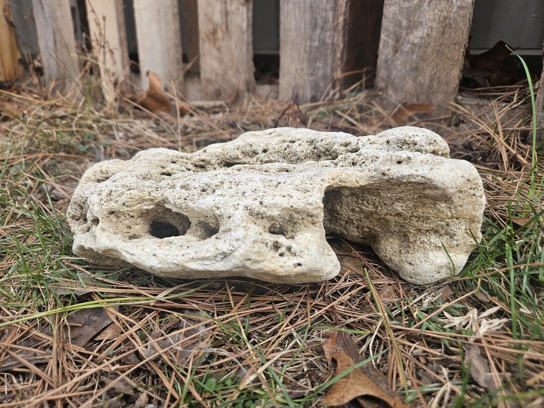 Natural Missouri River Rock / Aquarium or Vivarium Rock - Etsy