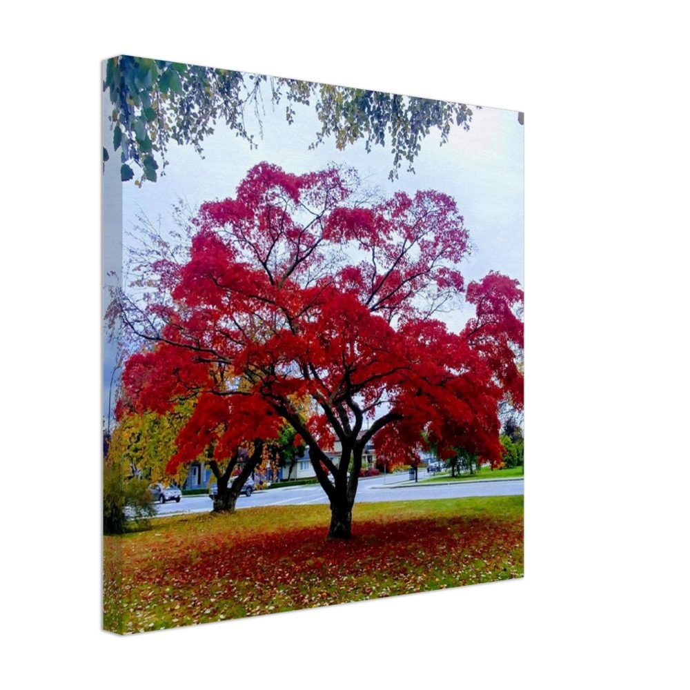 Red Tree - Canvas Wall Art Picture Original Art Photography Home Decor ...