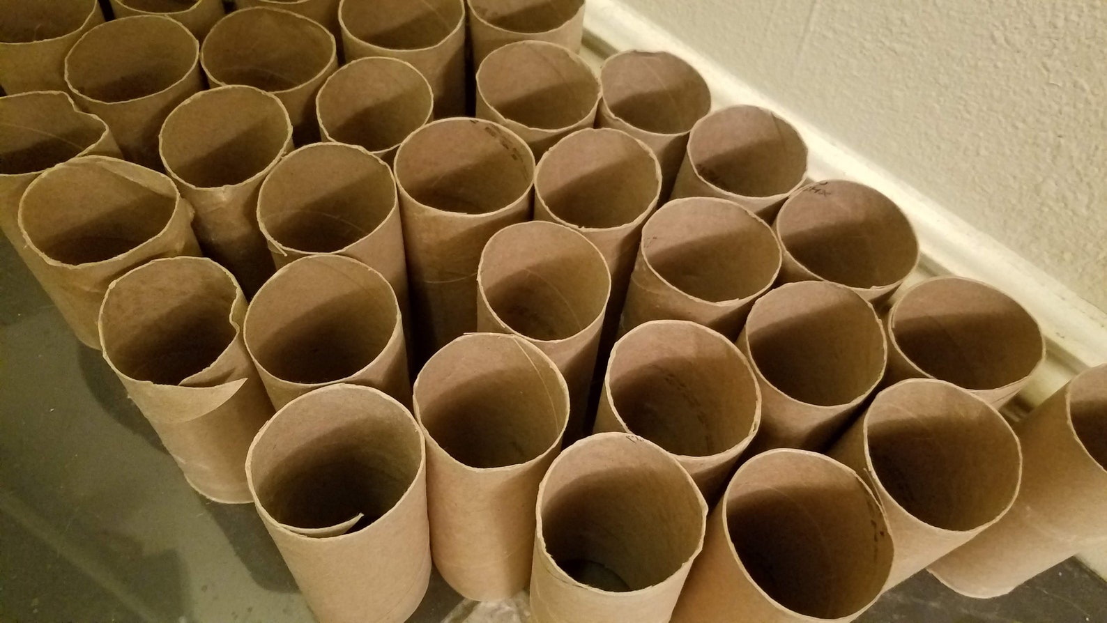Toilet Paper Tubes, Clean, for Crafting, DIY - Etsy