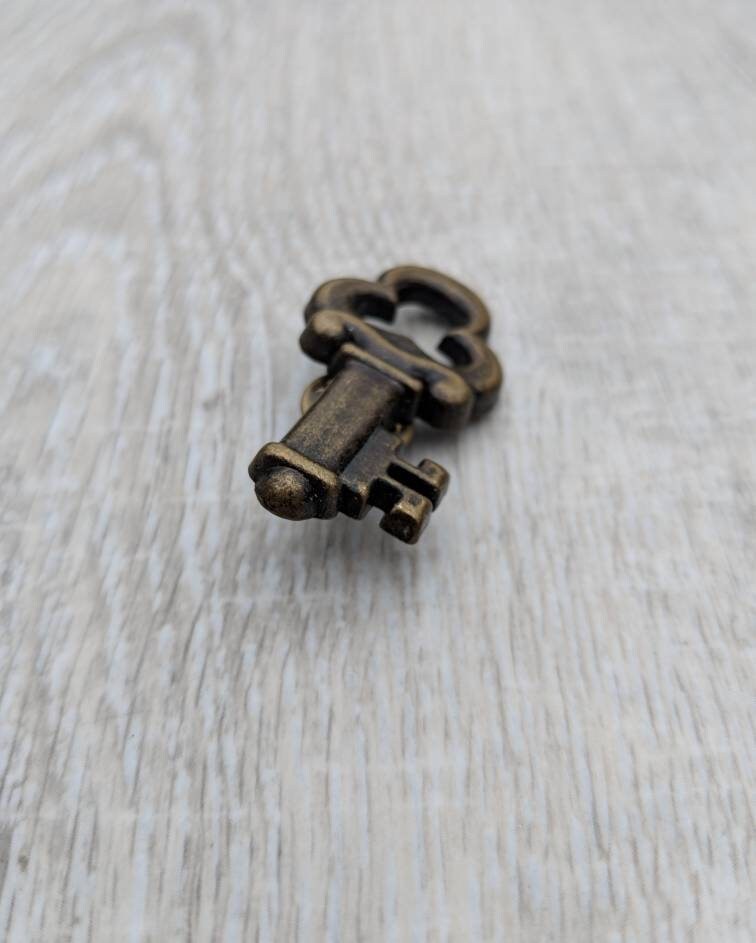 Bronze Tone Clover Top Skeleton Key Lapel Pin | Etsy