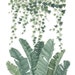 Charm Green Banana Leaf Living Room Home Decor Hanging - Etsy