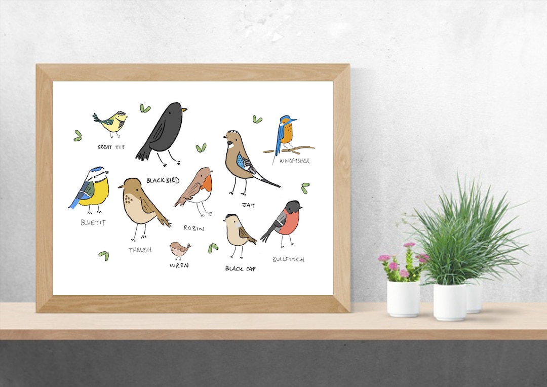 Garden Birds Poster British Bird Print Wall Art Home Decor Wall Decor ...