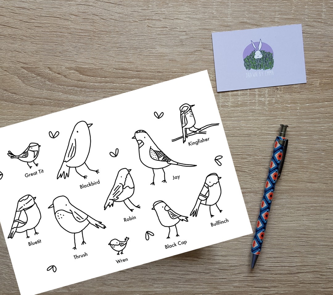 Garden Bird Colouring in Page - Colouring in Page - Nature - Children's ...
