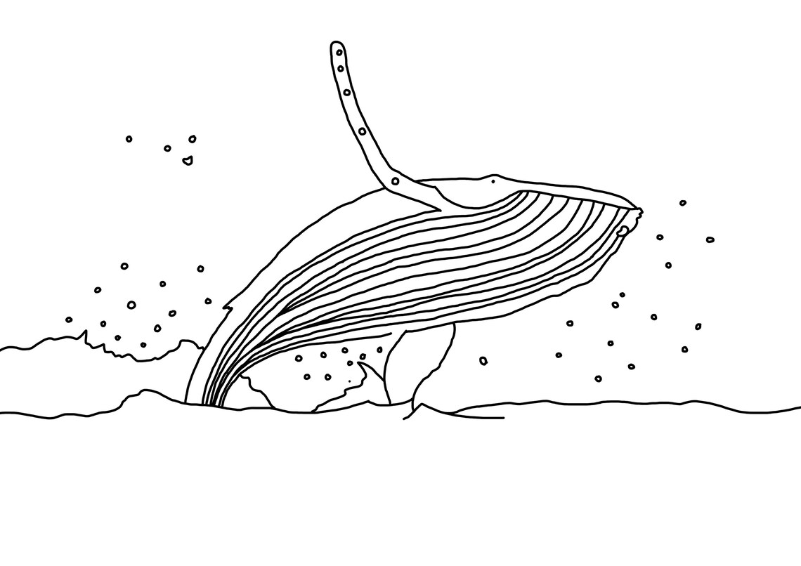 Whale Colouring in Page - Colouring in Pages - Colouring Pages ...