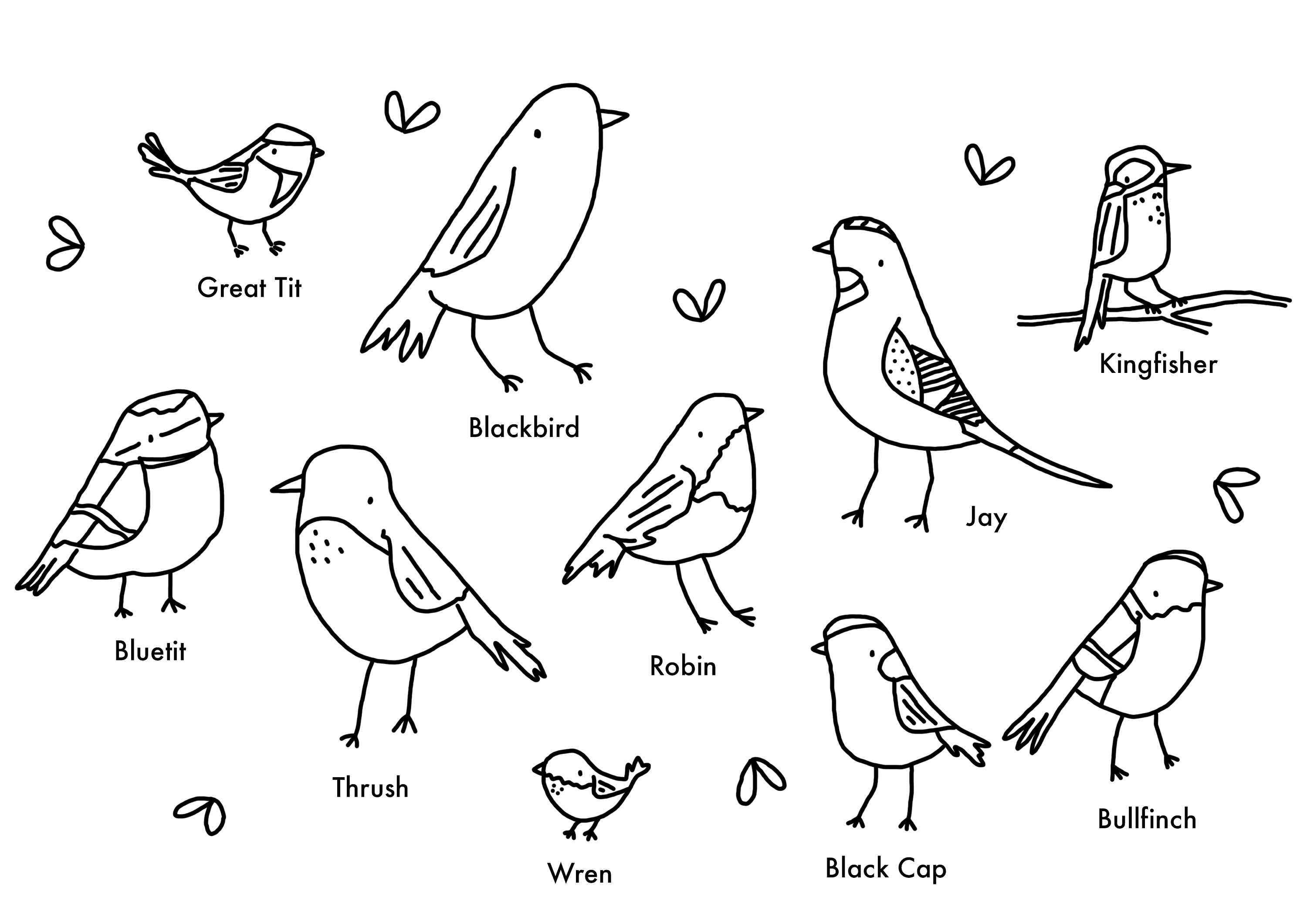 Garden Bird Colouring in Page Colouring in Page Nature | Etsy