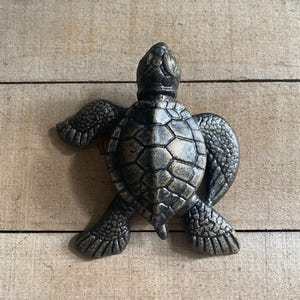 how to hide a turtle