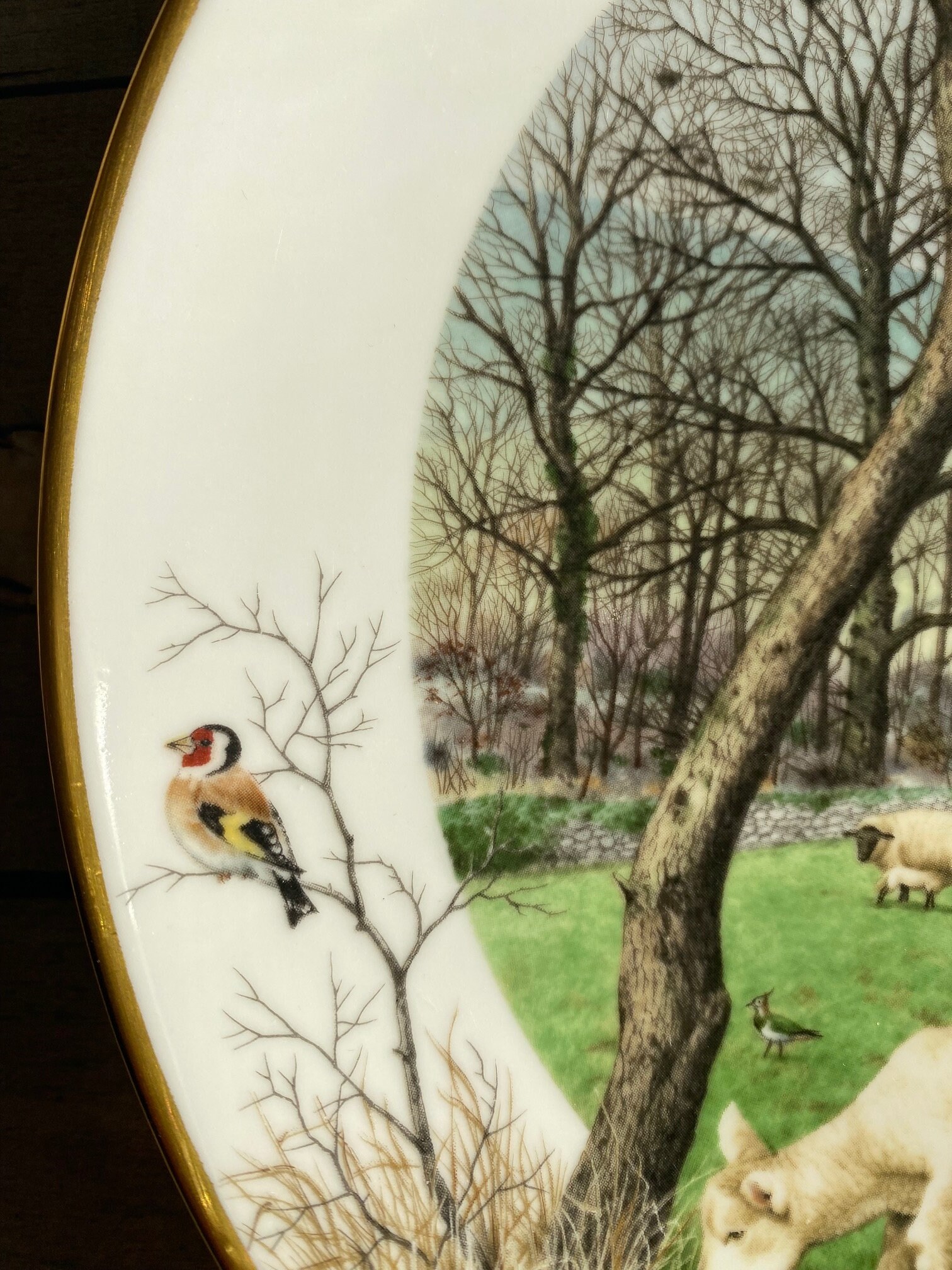 January's Lambing Season ~ Peter Barrett Plate - Etsy